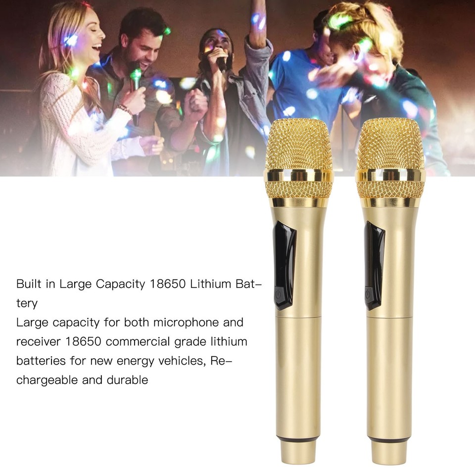 Professional Dynamic Wireless Dual Microphone Handheld Dynamic ...