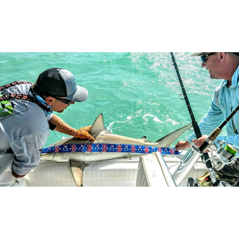 Cuda - Fish Tape Measure w/hook and loop Storage Strap | eBay