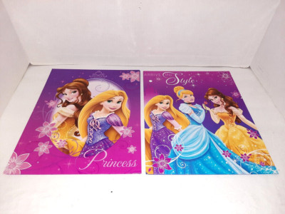 Disney Princess/Arrive In Style 2 Portfolio Folders | eBay