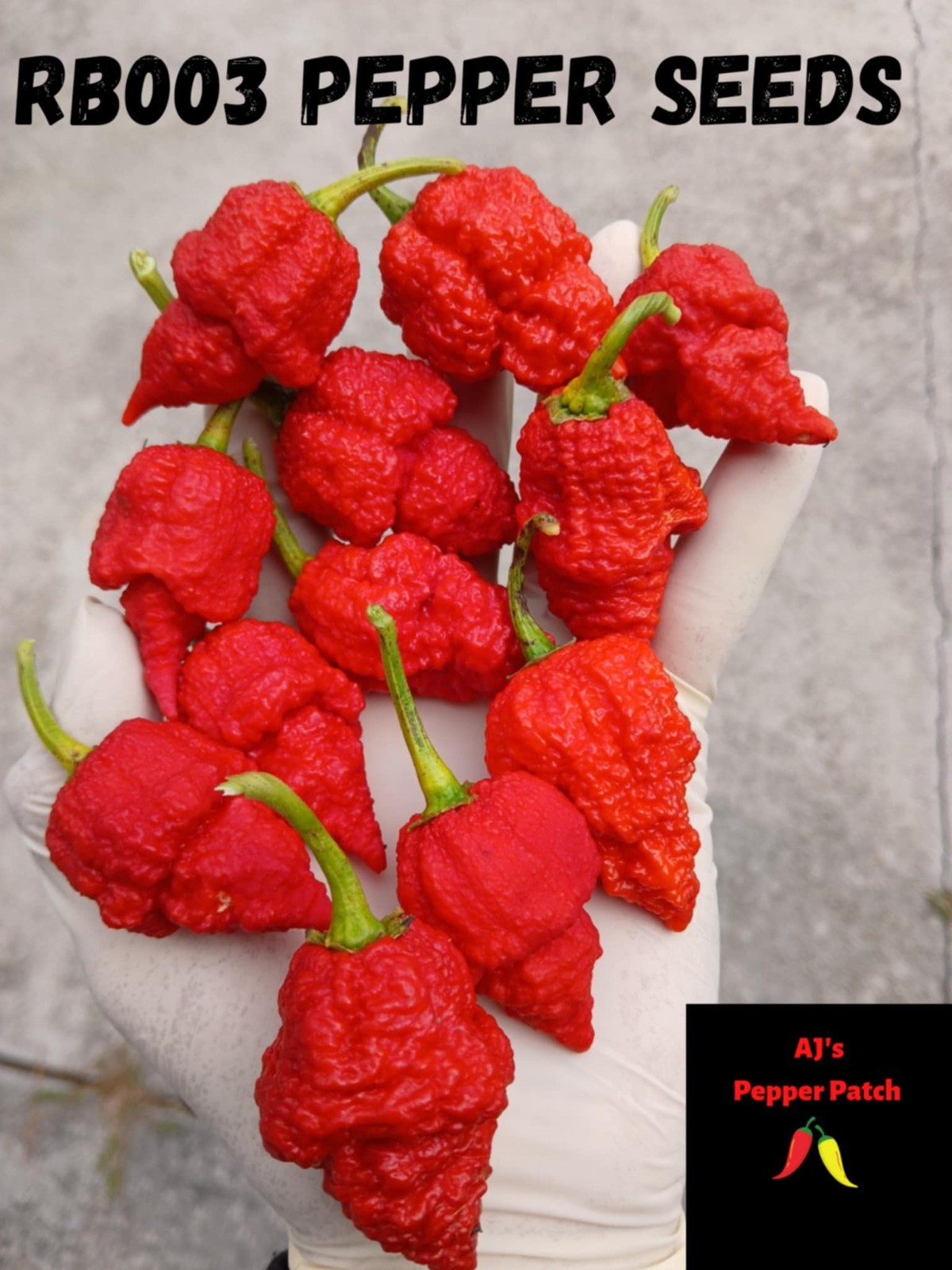 15 RB003 Hot Pepper Seeds Free Shipping | eBay