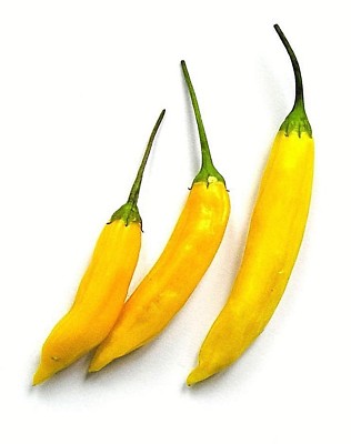 lemon drop chili pepper seeds non-gmo heirloom open pollinated EZ ...