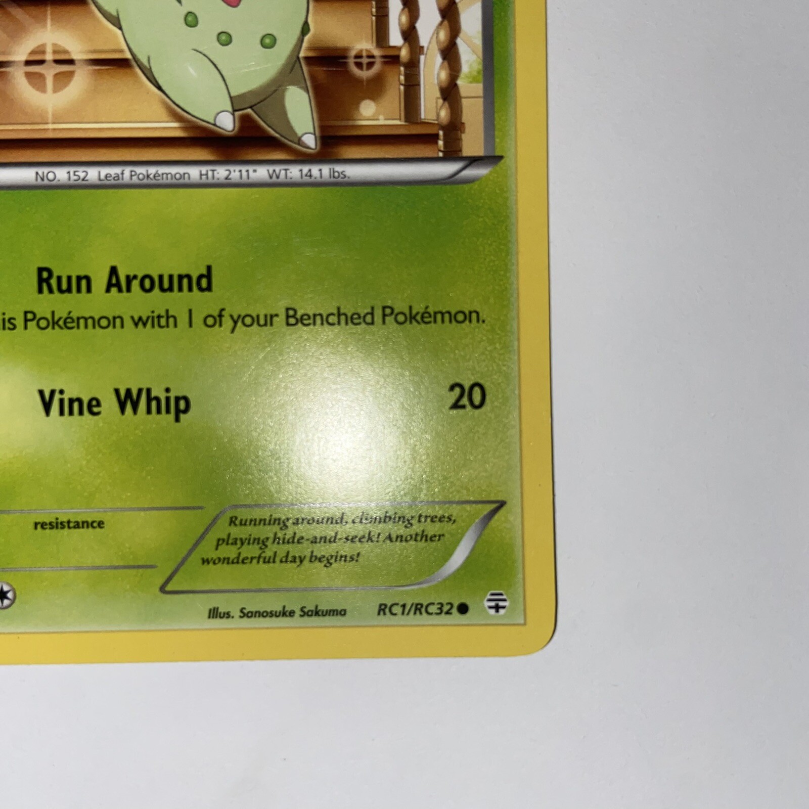Pokémon TCG Chikorita Generations RC1 Regular Common for sale online | eBay