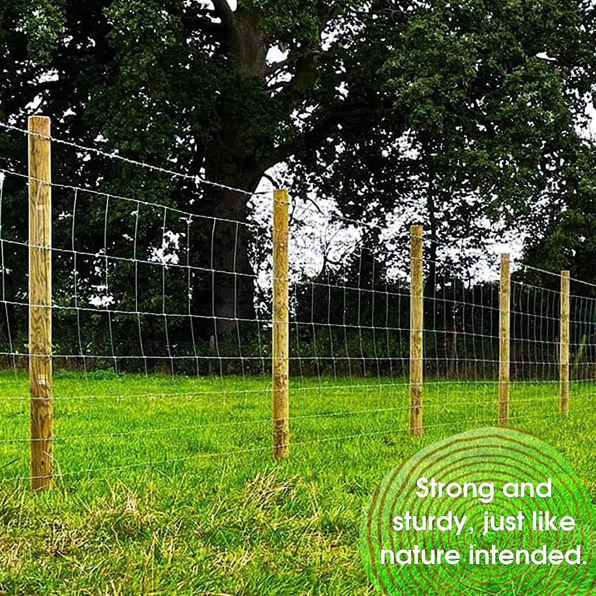 Garden Fence Post Stakes | Fasci Garden