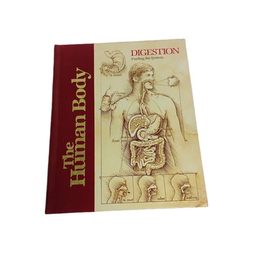 Digestion Fueling the System - The Human Body Series - Homeschool ...