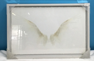 Marmont Hill Angel Wings Shadow Box Artwork - 24x16" | eBay