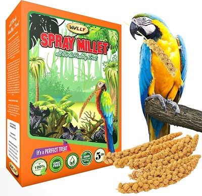 Vivlly 5LBS GMO-Free Sun Dried Spray Millet Original Bird Treat for ...