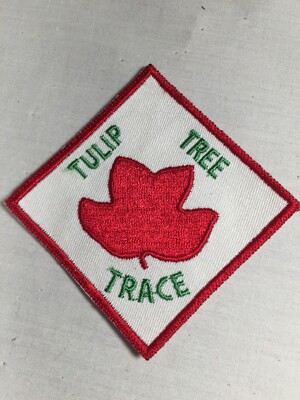 Tulip Tree Trace twill gauze back Trail BSA Patch | eBay