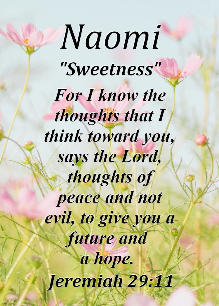 Naomi "Sweetness" Keepsake Name Meaning Card with Bible Verse | eBay