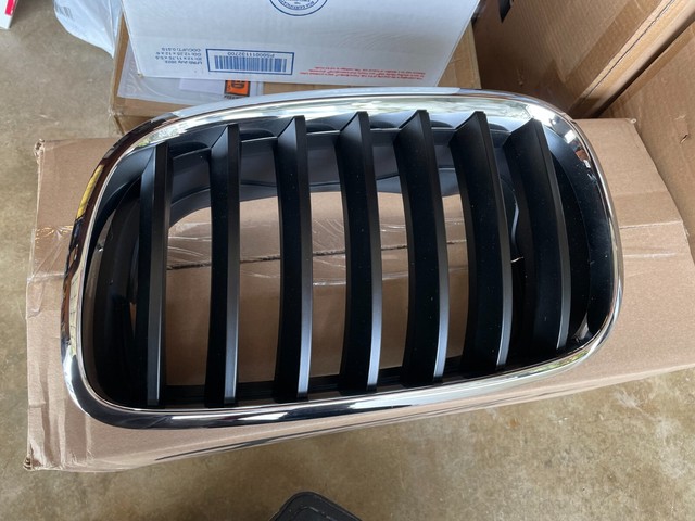Genuine BMW OEM 51137157687 Grille Front Left for sale online | eBay