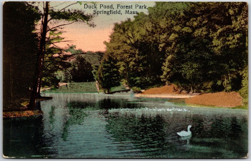 Duck Pond Forest Park Landscape Water Lined by Trees Springfield MA ...