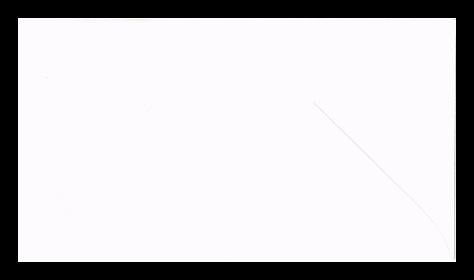 US COVER WOMEN VOTE 19TH AMENDMENT CENTENNIAL FDC COMBO PANDA CACHET | eBay