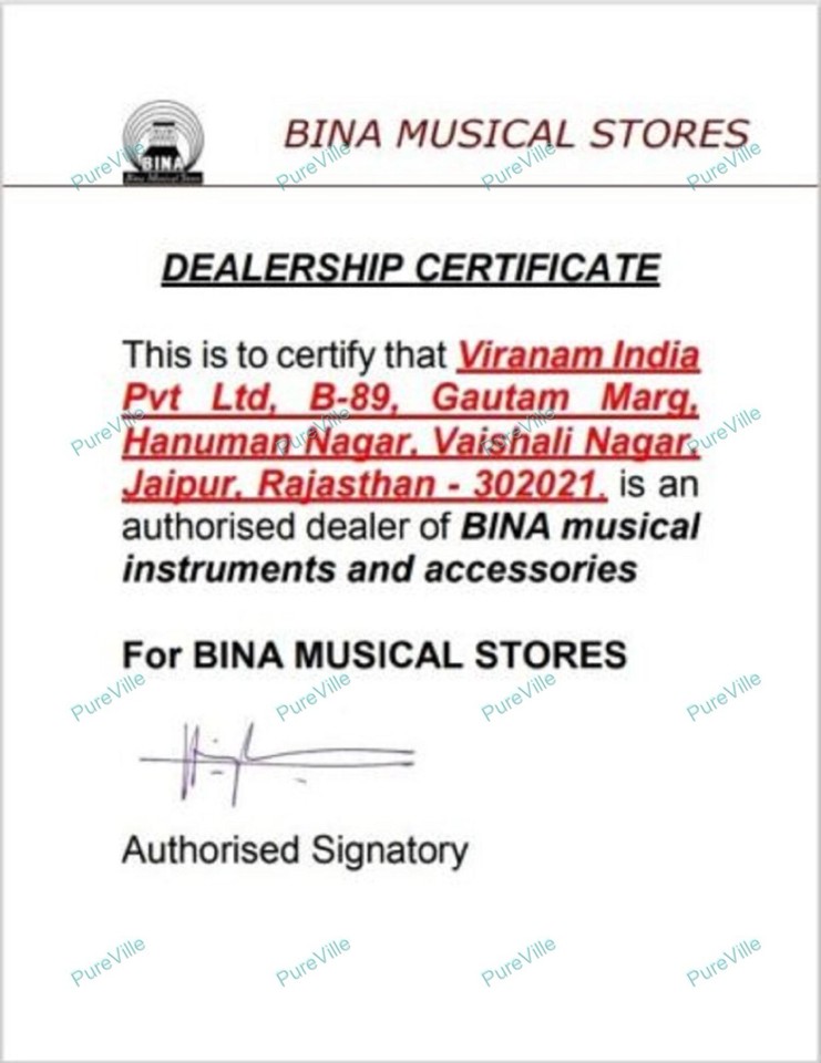 New Wood Indian Folk Traditional Bina Naal No.60 Musical Instrument ...