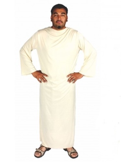ADULT BIBLICAL ROMAN GREEK GOD TOGA COSTUME GOWN ROBE TUNIC SHEPARD ...