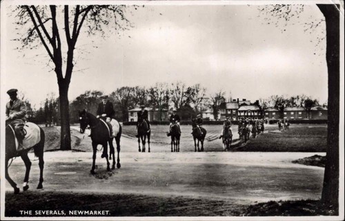 NEWMARKET SUFFOLK The Severals Men on Horses Horseback Riding RPPC ...