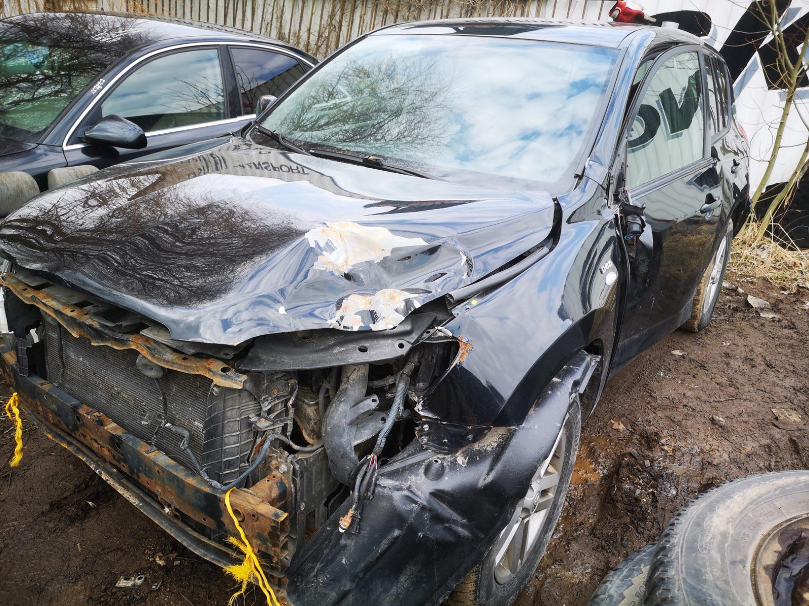 4853142130 48531-42130 Shock Absorber - Suspension Strut Assembly ...