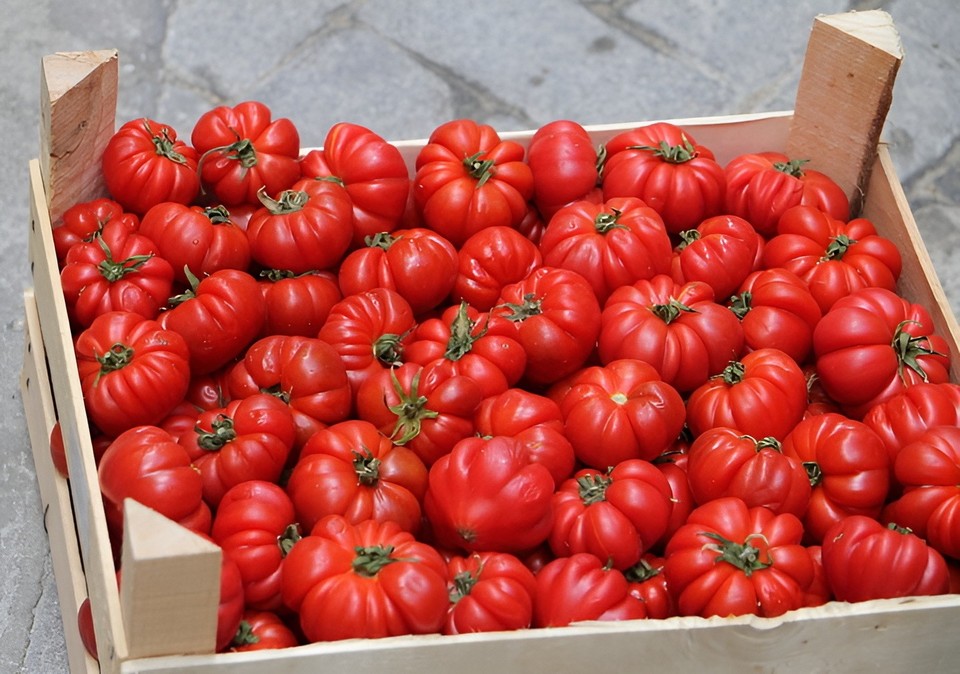 100 Heirloom Rosso Sicilian Tomato Seeds - 14+ oz Unique Shaped ...
