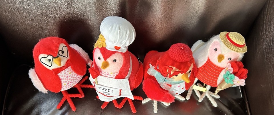 Target Spritz Featherly Friends 2023 Valentine's Day Birds Set /4 Brand ...