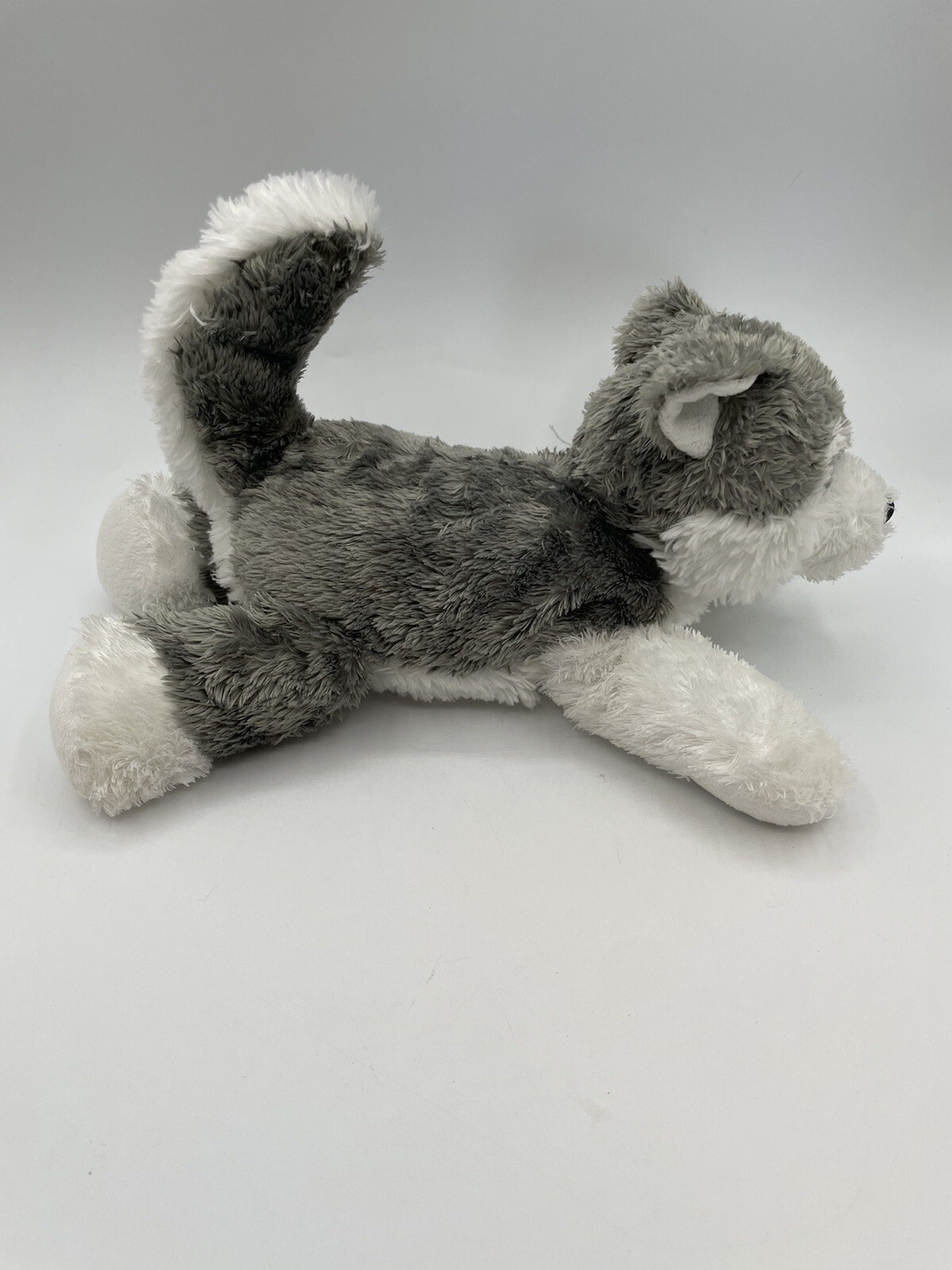 Aurora Gray White Dog Wolf Husky Plush 2020 Blue Eyes Puppy Timber Grey ...
