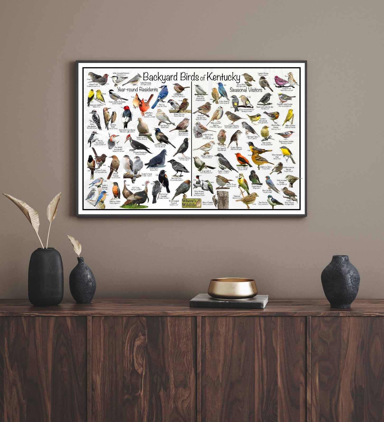 Backyard Birds of Kentucky Bird Identification Nature Poster / Quick ...