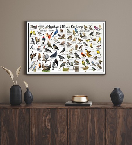 Backyard Birds of Kentucky Bird Identification Nature Poster / Quick ...