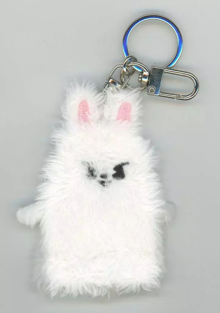 Keychain Reno Skzoo Finger Doll Leebit Stray Kids World Tour Dominate ...