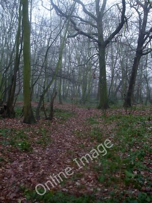 Photo 6x4 Rawreth Hall Ancient Wood Rayleigh This is part of a remnant ...