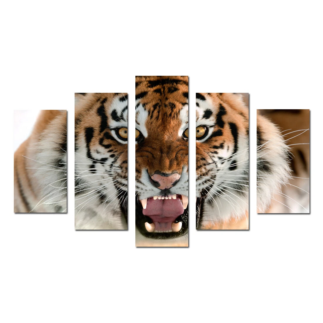 Tiger Angry Art