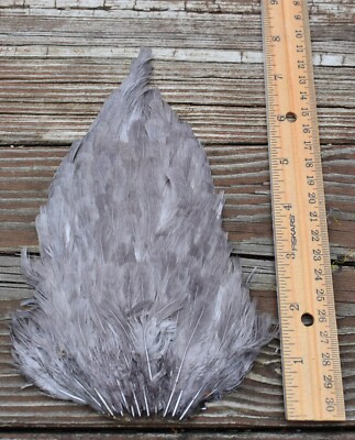 Lot 117, Dyed Blue Dun India Hen Back Saddle Feathers for Fly Tying | eBay