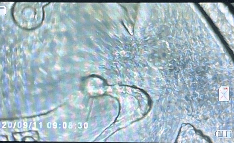 1999 D Mint Georgia Quarter Error Coin | eBay