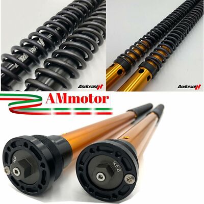 Cartridge Fork KTM 690 Enduro 2021 Rally Race Motorcycle Adjustable ...