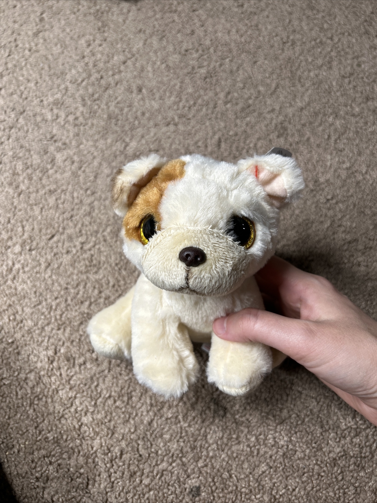 New 2020 TY Beanie Baby 6" HOUGHIE the Pug Dog Stuffed Animal Toy Plush ...