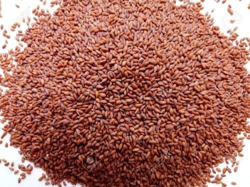 Halon Halim Rashad SEEDS 300g Aserio Seeds, PREMIUM QUALITY ORGANIC ...
