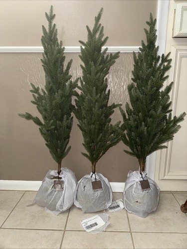 Anthropologie Terrain MOSS BALL MINI FAUX FIR TREE Medium 39” Christmas ...