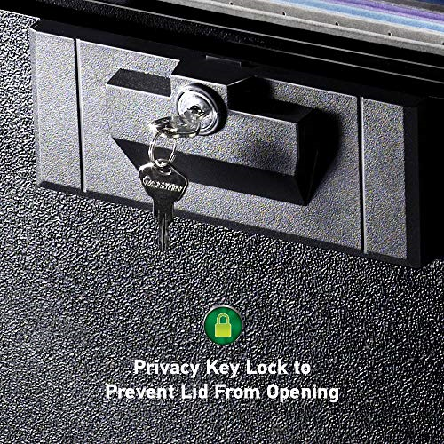SentrySafe 1170 Fireproof Box with Key Lock 0.61 Cubic Feet,Black ...