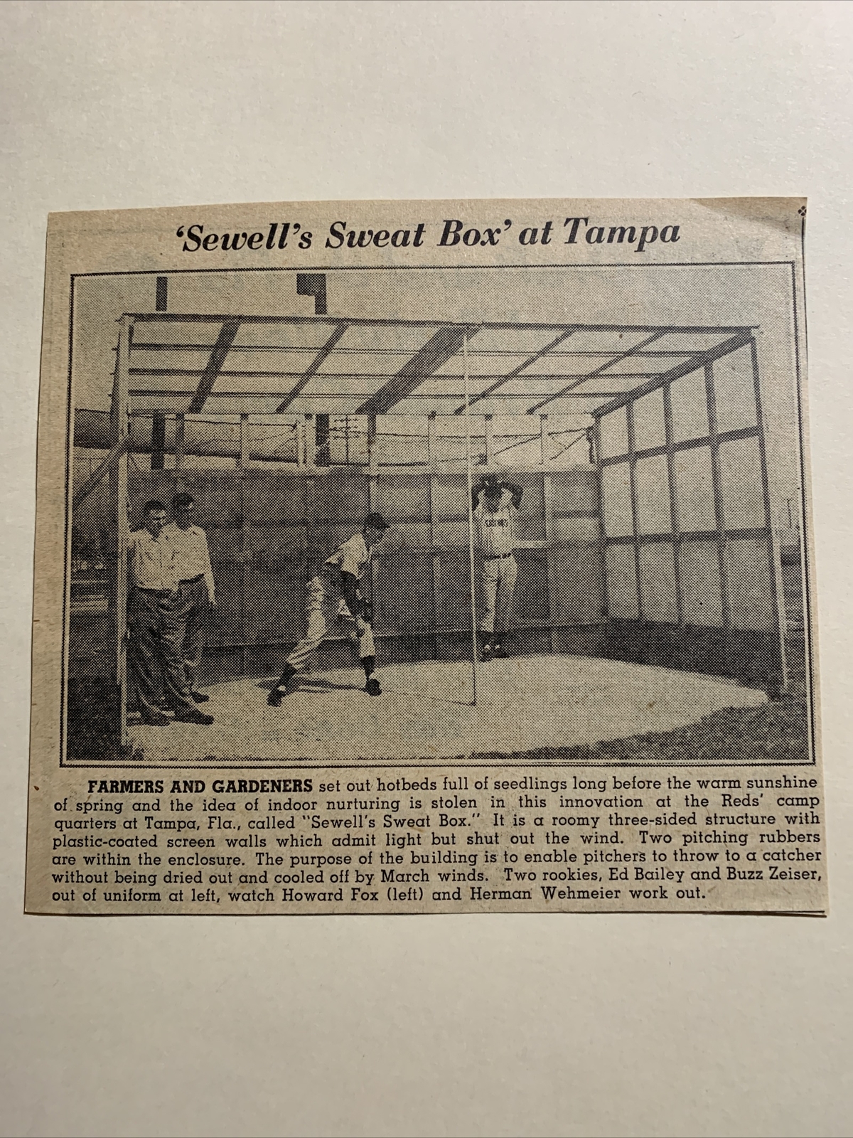 Ed Bailey Herm Wehmeier Howie Fox Reds 1951 Sporting News Baseball 6X6 ...