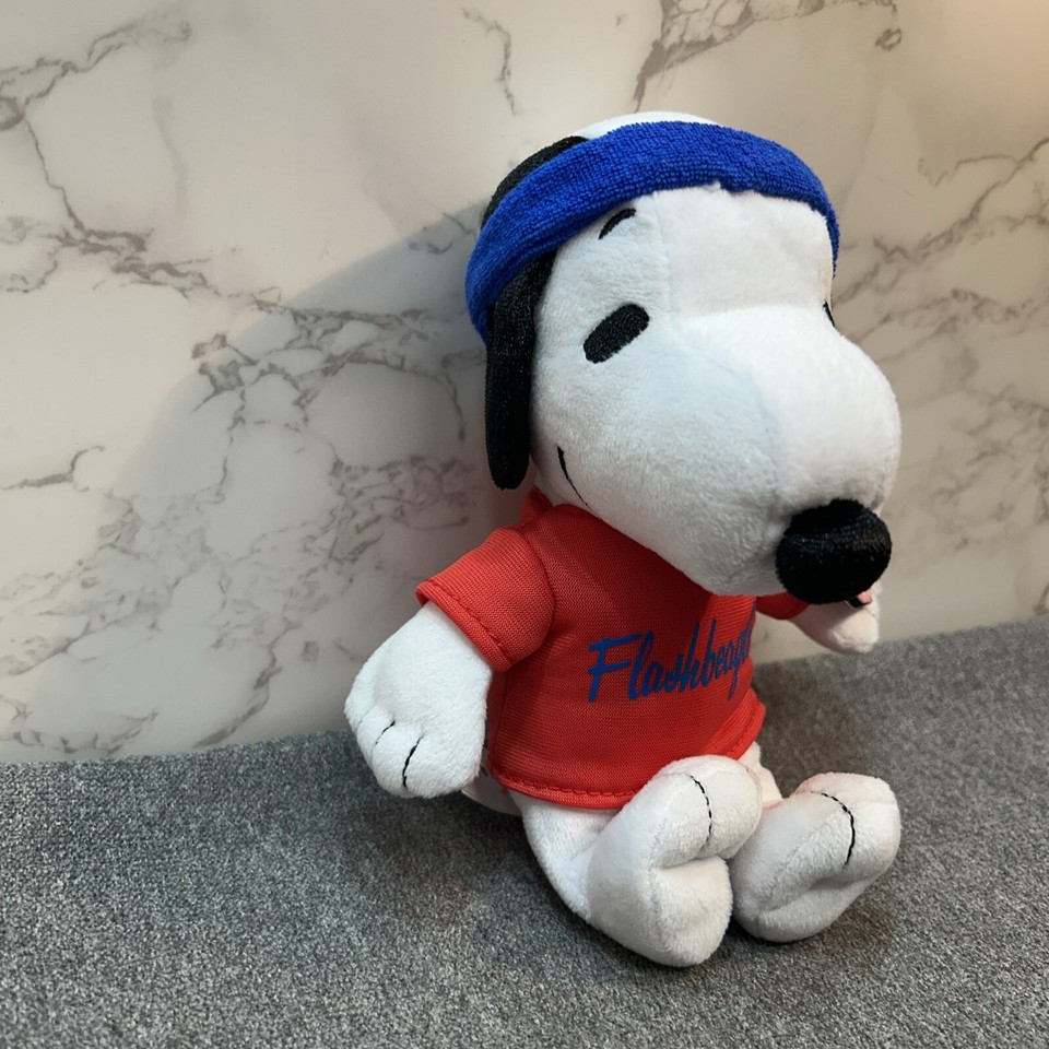 Many Faces Of Snoopy Plush Animal Flashbeagle Snoopy | eBay