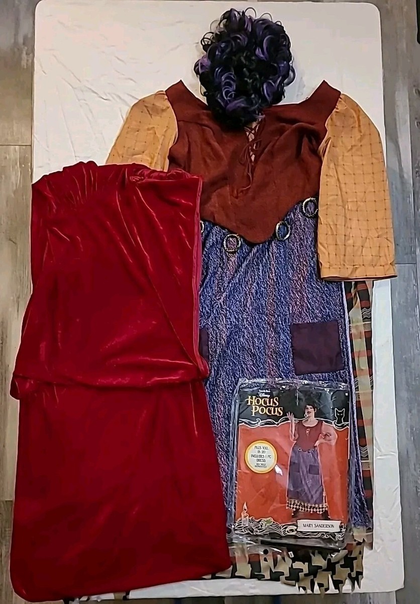 Mary Sanderson Costume