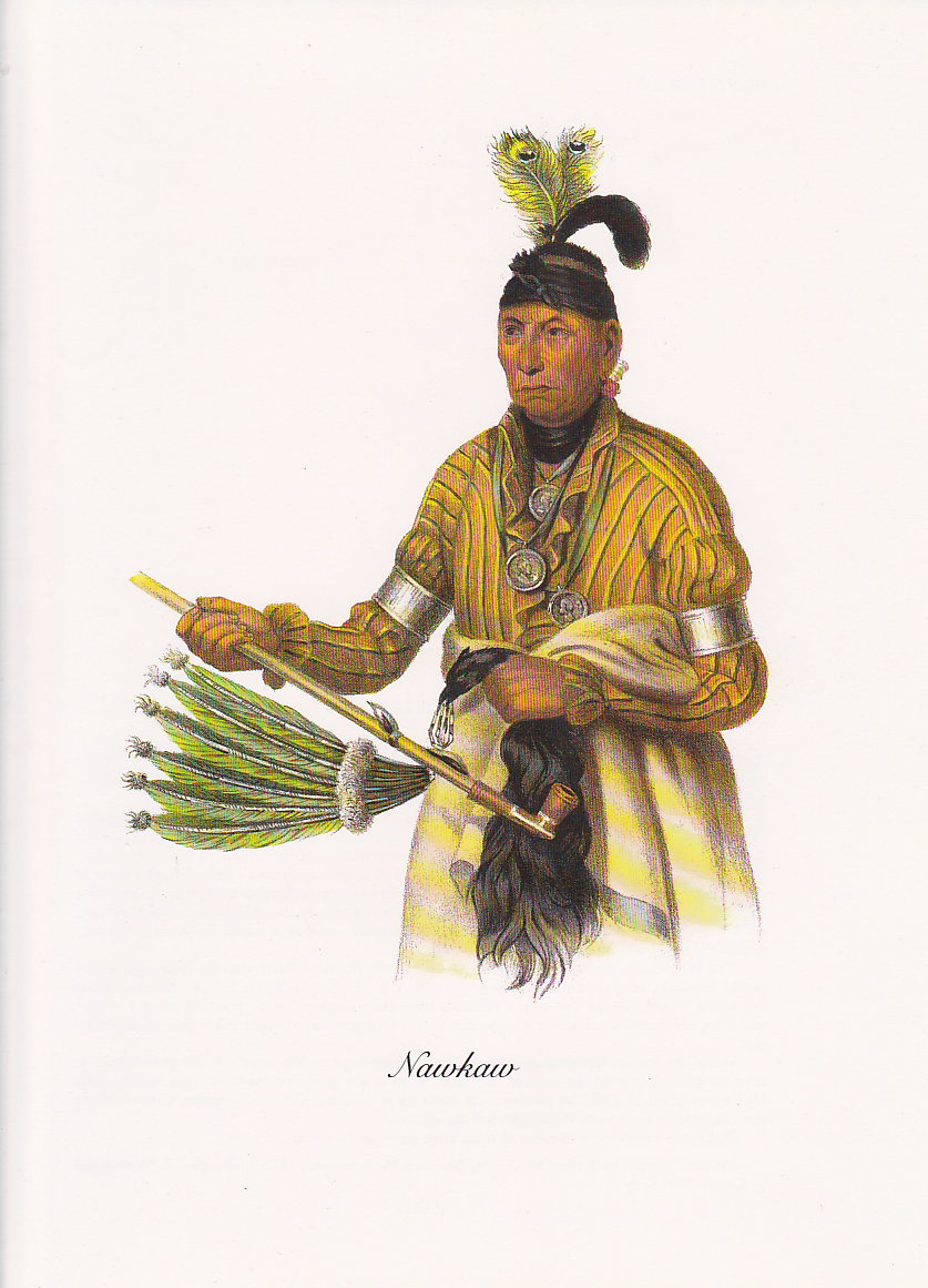 1972 Vintage Full Color Art Plate "CHIEF NAWKAW" NATIVE AM. INDIAN ...