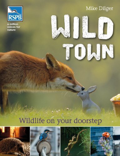 Wild Town (Rspb) By Mike Dilger 9781408173909 | eBay