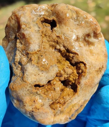 Keokuk Geode Tennessee Jasper Agate Specimen Chert Crystal Gem ...