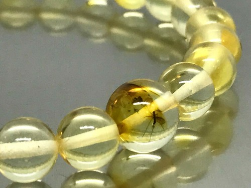 Baltic AMBER BRACELET Gift Insect Round Beads Amber Insects Inclusion 6 ...