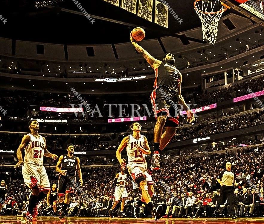 Lebron James Oil Painting