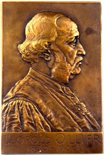#200122 - Doctor Léopold Ollier Surgeon Major 1830-1900 Condition : XF ...