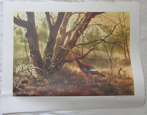 James H. Killen Quiet Woods Limited Edition Print Signed 228/800 20 x ...