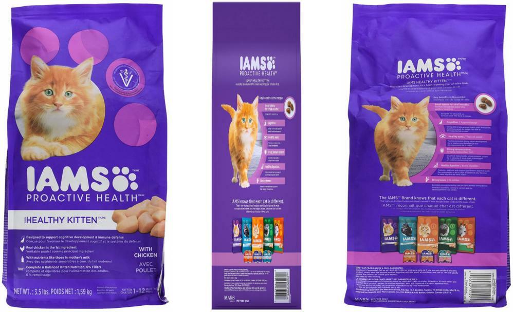 Iams Kitten