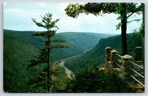 Colton Point State Park PA Postcard Pennsylvania Grand Canyon View ...