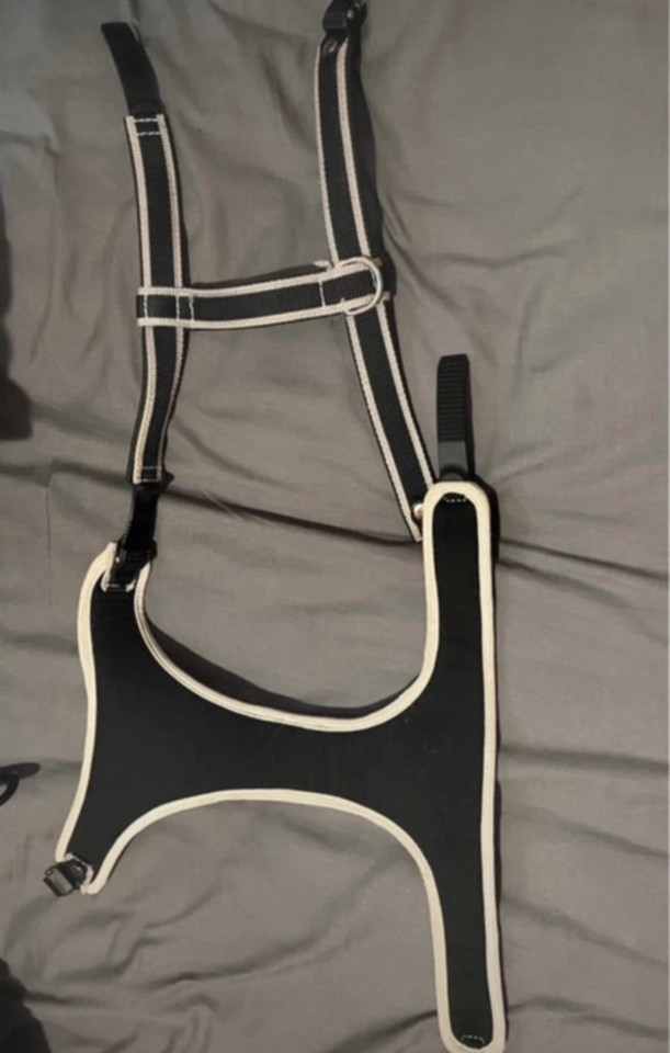Dog Padded Harness | eBay UK