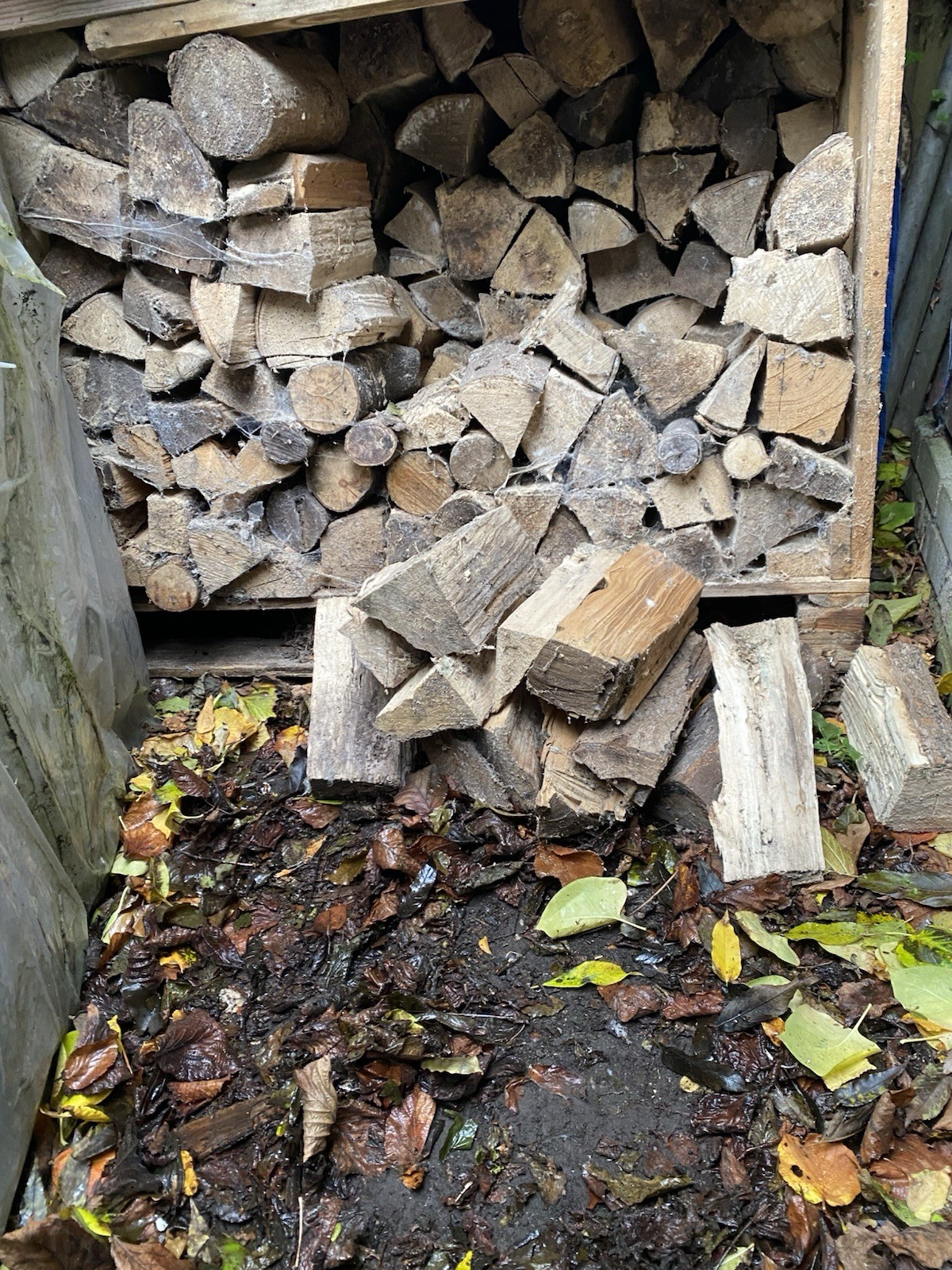 Wooden Logs, Approx 100,various Woods And Shapes | eBay UK