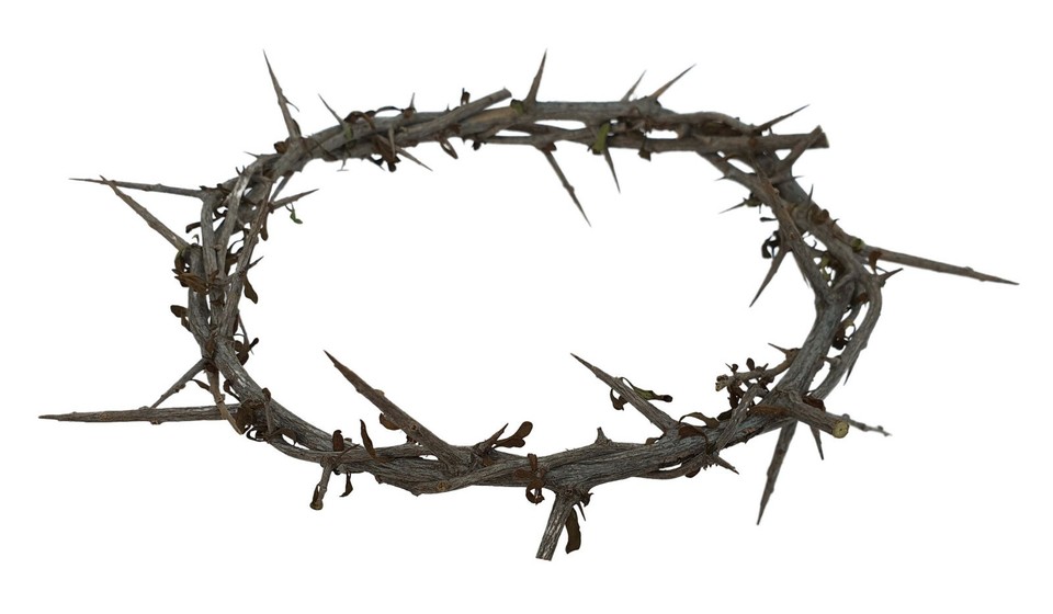 Authentic Biblical Lifesize 8" Crown of Thorns from Jerusalem w ...