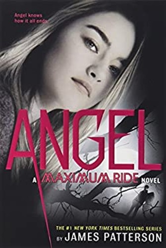 Angel : A Maximum Ride Novel Paperback James Patterson 9780316038324| eBay